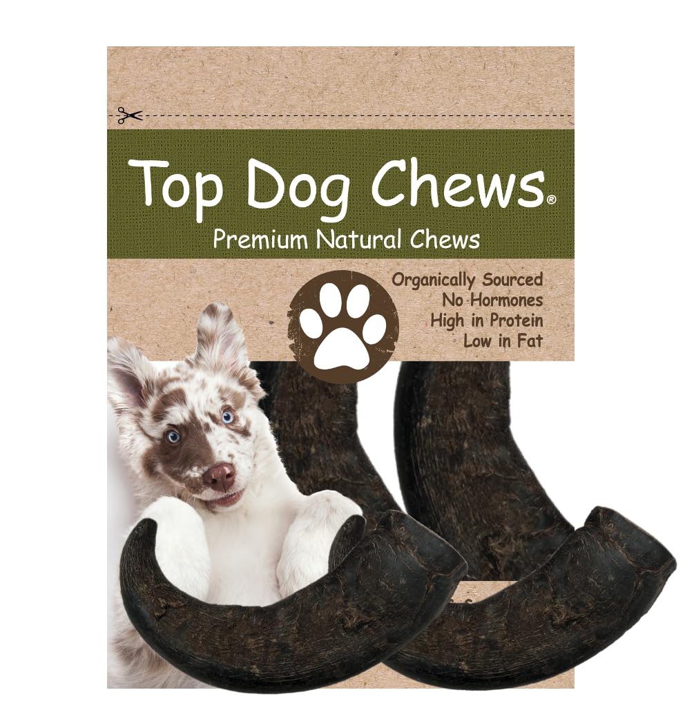 Top Dog Chews – Water Buffalo Horn, Long Lasting Dog Chew for Aggressive Chewers, All Natural, Dog Bone for Large & Medium Dogs, 2 Pack