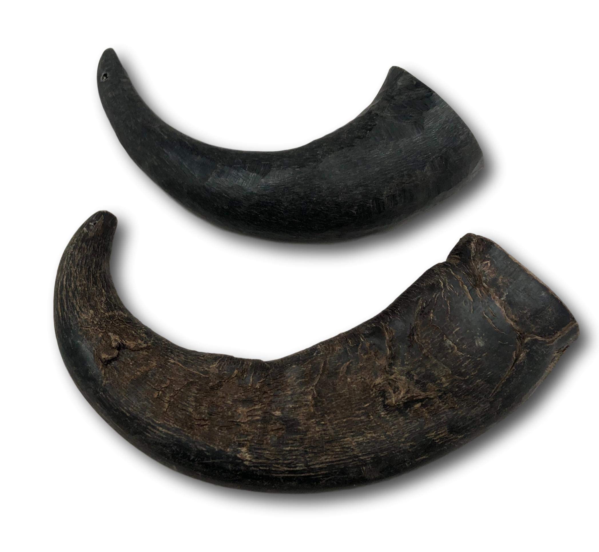 Top Dog Chews – Water Buffalo Horn, Long Lasting Dog Chew for Aggressive Chewers, All Natural, Dog Bone for Large & Medium Dogs, 2 Pack