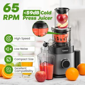 Cold Press Juicer, Slow Masticating Machines with Extra Large Feed Chute Fit Whole Fruits & Vegetables Easy Clean Self Feeding Effortless for Batch Juicing, High Juice Yield, BPA Free, Black