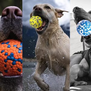 Hungry Dog Co.- Super Durable Premium Dog Balls -Pet Safe Dog Toys for Fun and Play. Very Bouncy and Durable -Great for Aggressive Chewers -Stimulating Colors and Patterns -2 Multi-Color 3” Balls #2