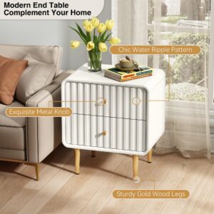 HLR Modern Nightstand Set of 2, Fluted Bed Side Table with 2 Drawers Storage, Wood End Table with Gold Metal Handle, White Night Stands for Bedroom