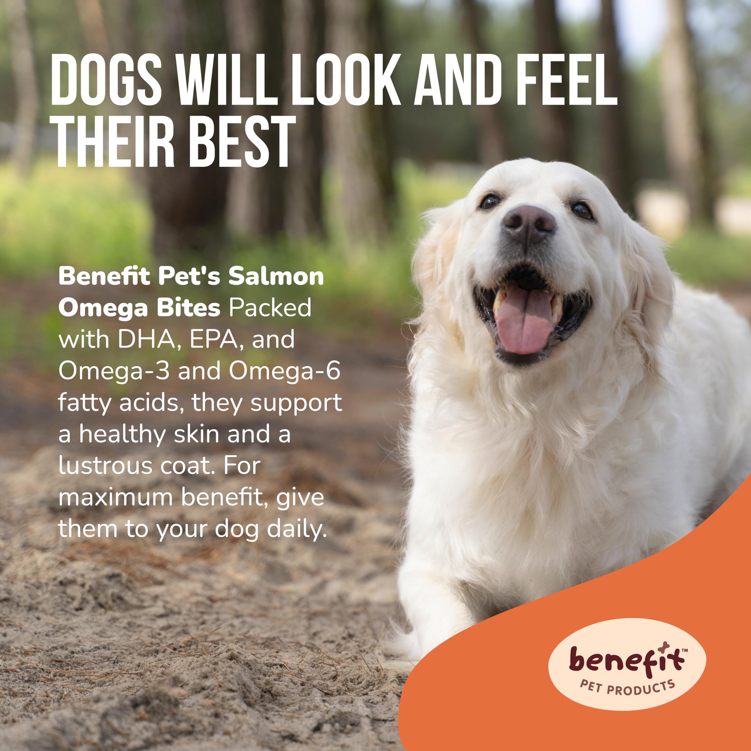 Omega 3 for Dogs - Skin & Coat Soft Chews for Dogs - Salmon Oil, EPA & DHA Fatty Acids - Itch Relief, Hot Spots, Shedding, Allergies & Hot Spot Relief - 120 Soft Chews, Made in USA