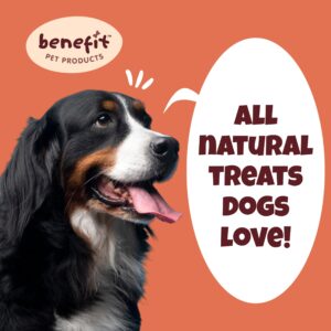 Benefit Pet Products Collagen Sticks for Dogs - Single Ingredient Dog Treat, Rawhide Free, Collagen Chews for Dogs, Long Lasting Dog Chew, Alternative to Bully Sticks (6 inch, 5 Sticks)