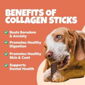 Benefit Pet Products Collagen Sticks for Dogs - Single Ingredient Dog Treat, Rawhide Free, Collagen Chews for Dogs, Long Lasting Dog Chew, Alternative to Bully Sticks (6 inch, 5 Sticks)