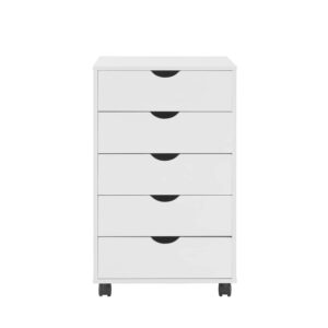 Naomi Home 5 Drawer Office File Cabinet with 200 lbs Total Capacity - White