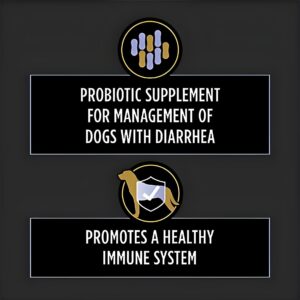 Veterinary Supplements Chewable Dog Probiotic Supplement Tablets - 45 ct. Canister