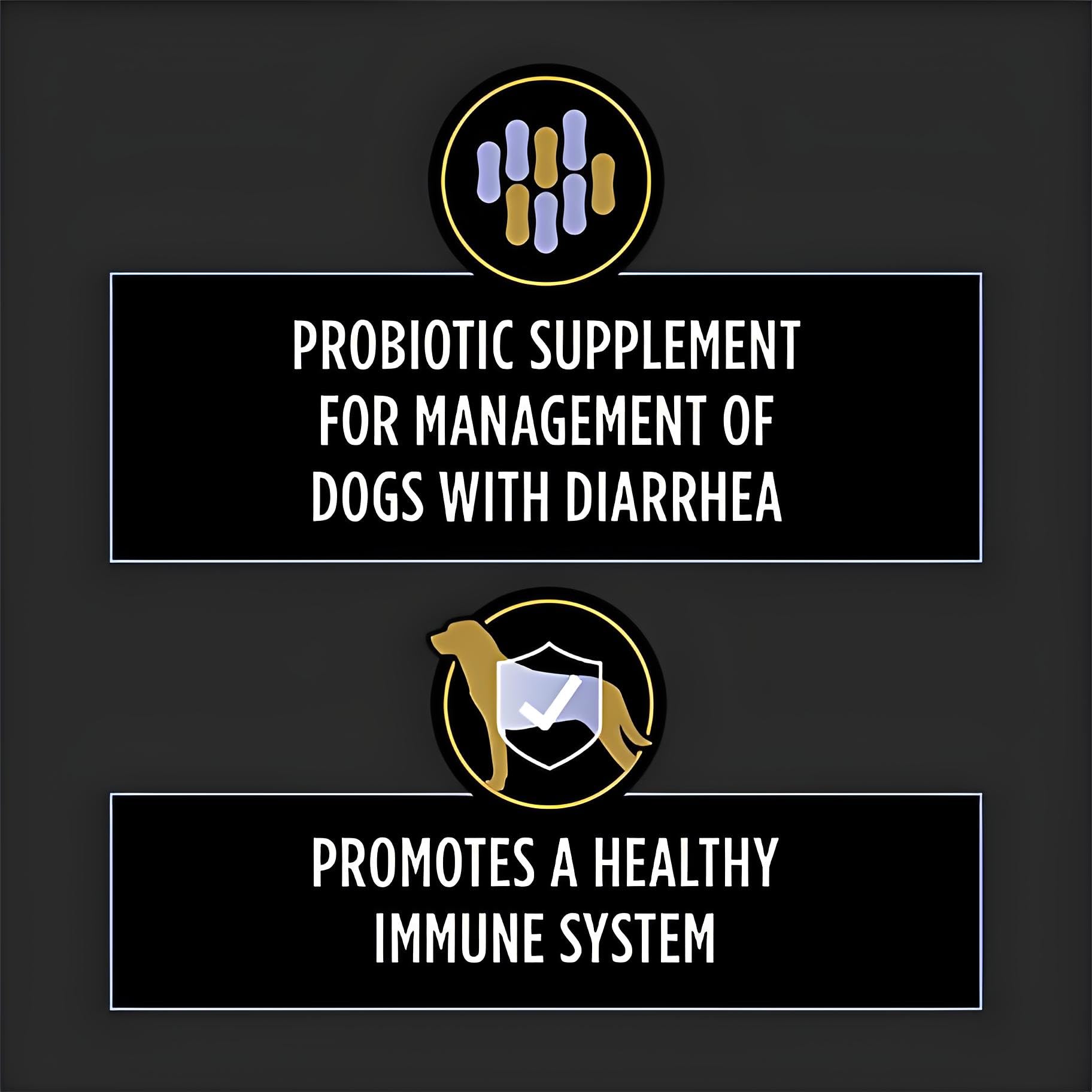 Veterinary Supplements Chewable Dog Probiotic Supplement Tablets - 45 ct. Canister