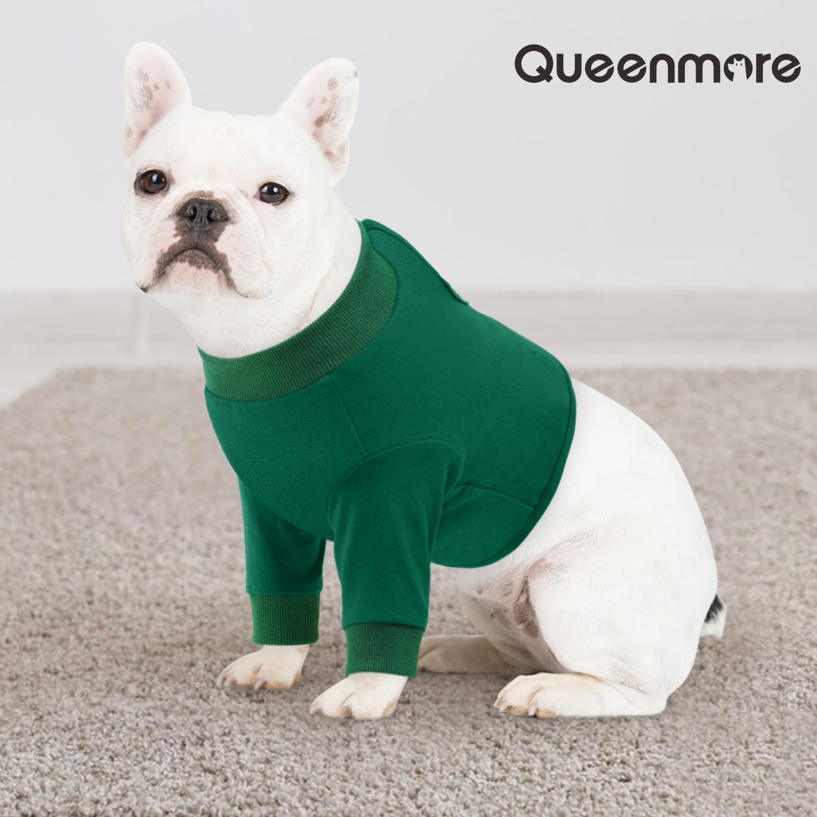 Queenmore Dog Recovery Suit for Front Legs, Adjustable Dog Leg Sleeves to Stop Licking, Breathable Suitical Recovery Sleeve for Large Dogs, Wound Care for Dogs, Green, L