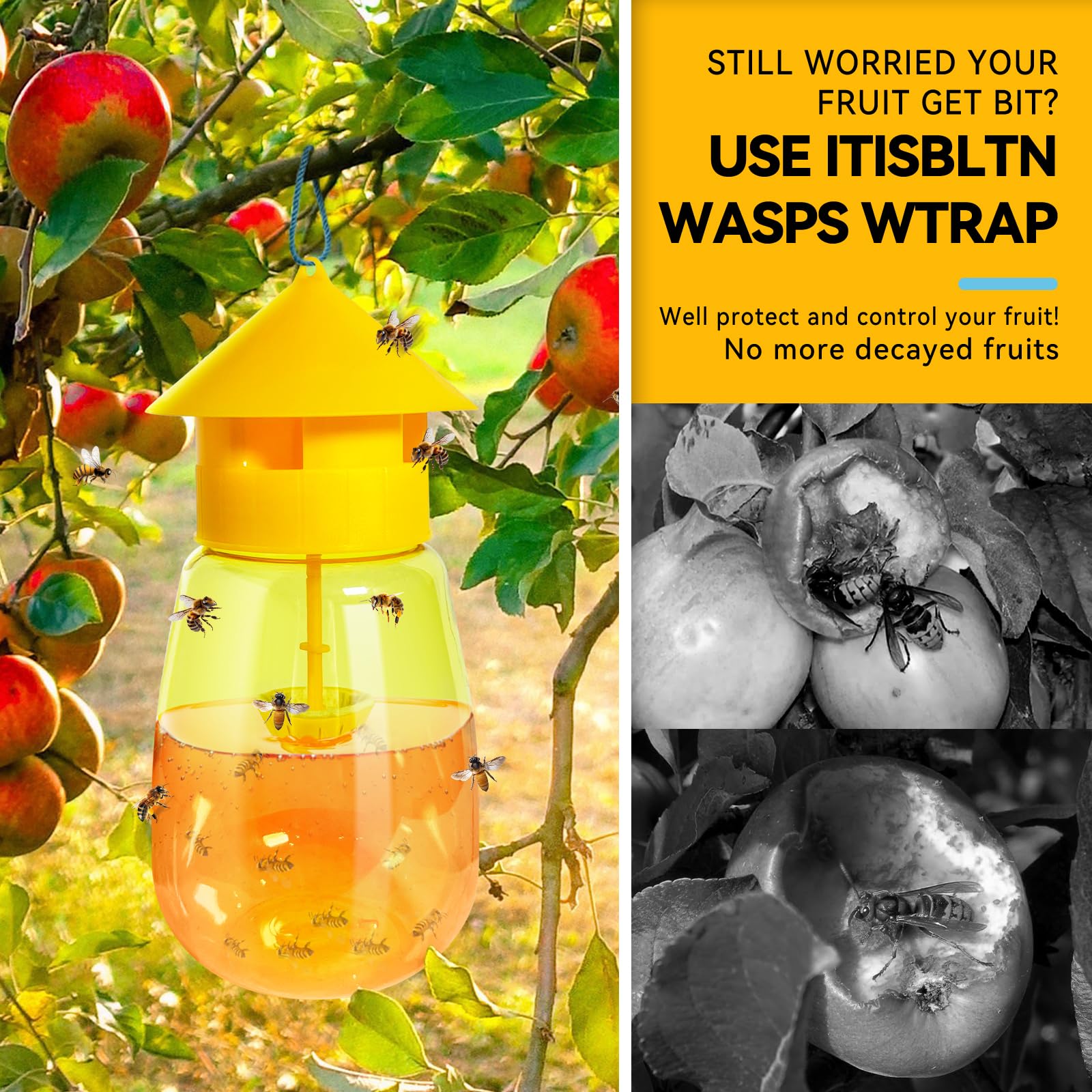 ITISBLTN 2 Packs Wasp Trap – Extra Large Yellow Jacket Trap Reusable Outdoor Hanging Ground Bee Wasps Killer Traps for Outside Garden, Patio, Backyard, Camping