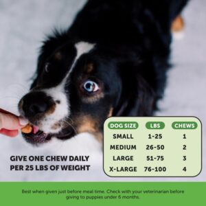 Pet Honesty Dog Urine Neutralizer & Probiotics Bundle: Grass Burn Spot Saver & Digestive Health Support Chews (Turkey & Duck 90 ct)