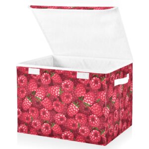 Storage Bins with Lid Red Raspberry Toys Fabric Storage Basket Large Collapsible Organizers Bedroom Storage Boxes Cubes and Handles for Clothes Office Shelves