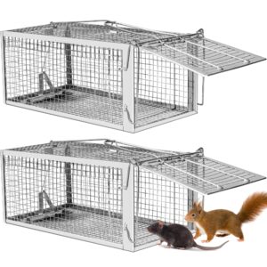 2 pack humane rat traps - have a heart mouse trap for squirrel mouse rat mice, live rat traps catch and release for indoors and outdoors