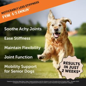 Pet Honesty Senior Hemp Hip & Joint Support & Probiotics Bundle: Mobility Supplement & Gut Health Chews for Dogs (Chicken & Duck 90 ct)