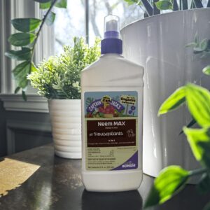 Bonide Captain Jack's 12 oz Neem Max Ready-to-Use Spray for Houseplants Indoors