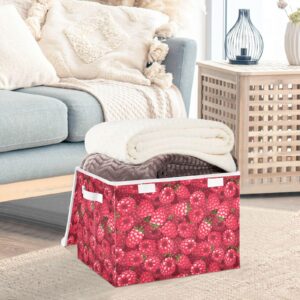 Storage Bins with Lid Red Raspberry Toys Fabric Storage Basket Large Collapsible Organizers Bedroom Storage Boxes Cubes and Handles for Clothes Office Shelves