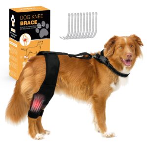 dog knee brace dog acl brace hind leg dog knee brace for torn acl hind leg with side stabilizer acl brace for dogs pain relief dog acl knee brace extra support treats kneecap dislocation arthritis