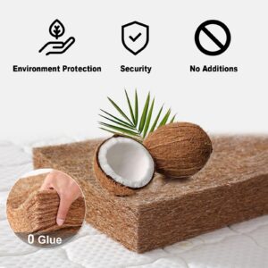 Coconut Mattress Queen, 3E Coir Firm Mattress Protect Spine Deep Sleep, 3.2in Thickening Foldable Mattress for People Who Like Extra Hard Mattress