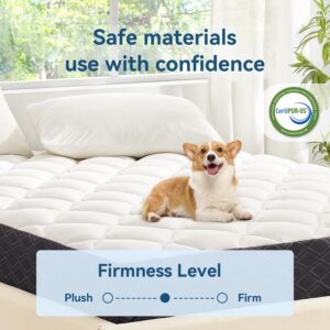 TERISTE 5 Inch Twin XL Mattress Breathable Gel-Memory Foam Plus Pillowtop Mattress, Extra Long Twin Cool and Skin-Friendly, Fiberglass Free, Mattress in a Box, CertiPUR-US® Certified