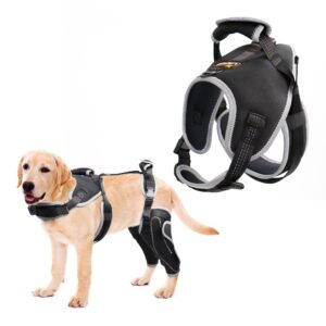 dog acl knee brace for torn acl leg,acl brace for dogs rear legs,dog back leg support brace,dog acl brace hind leg,dog leg brace, dog ccl brace,braces for dogs hind legs balance(l)