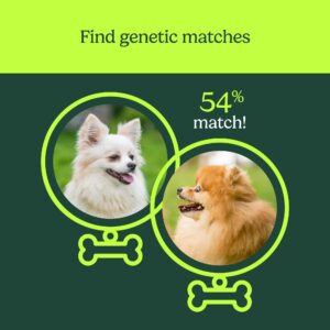 AncestryDNA Know Your Pet DNA: Dog DNA Breed Identification Test, Dog Health Screening, Genetic Traits, DNA Matches, Dog DNA Test, Dog Breed DNA kit, Easy-to-Use Pet DNA Health Test