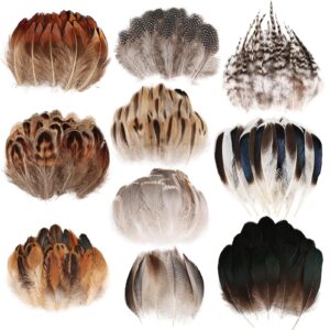 feelfunfeather 300 pcs small feathers - 10 style mixed spotted decorative natual pheasant feather for diy crafts clothing jewelry hair decoration