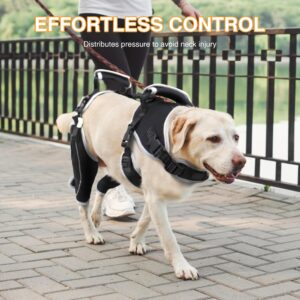 Dog ACL Knee Brace for Torn ACL Leg,ACL Brace for Dogs Rear Legs,Dog Back Leg Support Brace,Dog ACL Brace Hind Leg,Dog Leg Brace, Dog CCL Brace,Braces for Dogs Hind Legs Balance(L)