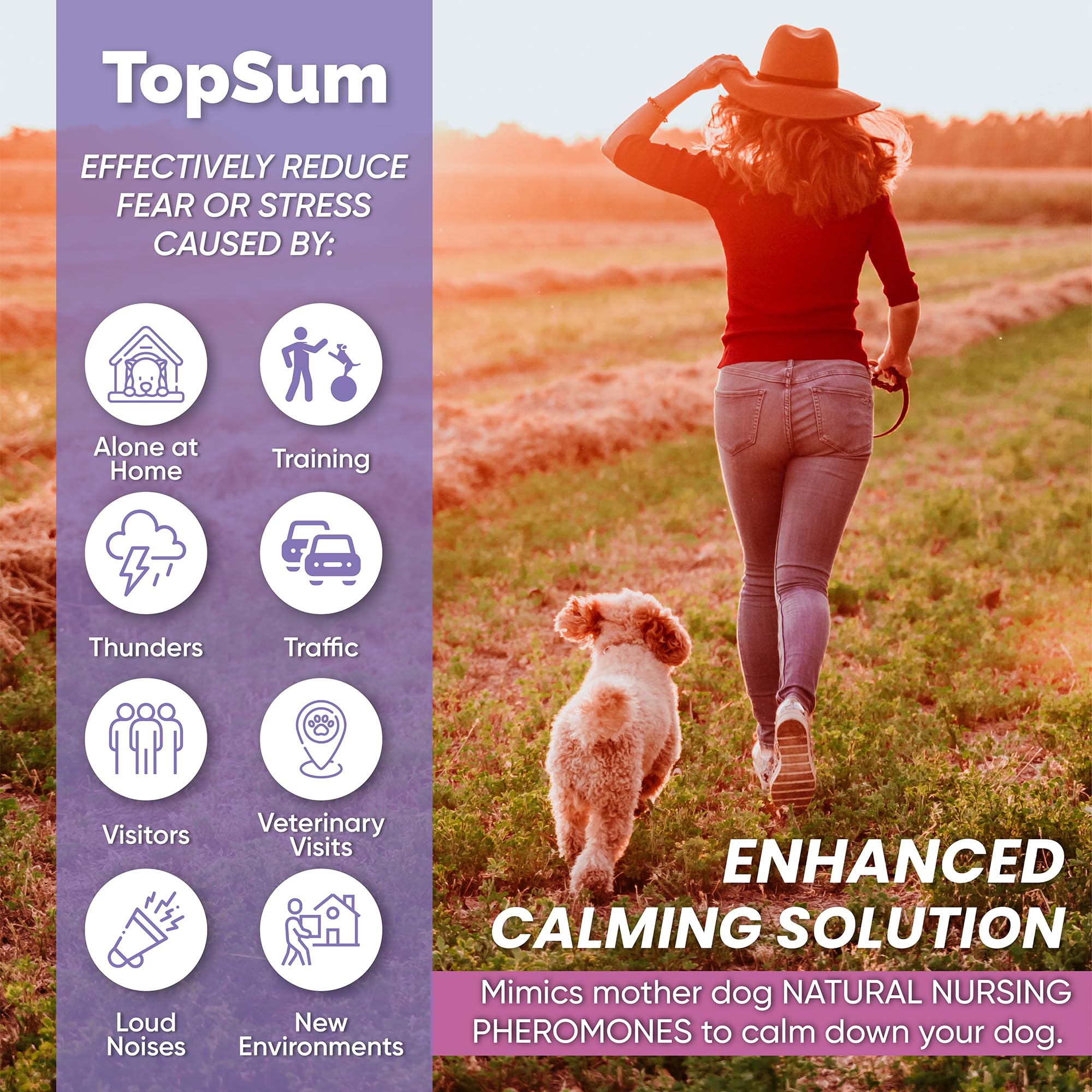 TopSum Dog Calming Diffuser Refills: 4 Pack Dog Pheromones Calming Diffuser Refills - Dog Appeasing Pheromone - Pheromones for Dogs - Calming Pheromones for Dogs, 4 Pack (Purple)