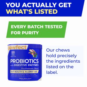 PAWFECTCHEW Vet Approved Probiotics & Digestive Enzymes for Dogs | Gut Health & Digestive Function Support | Pumpkin & Omega | Diarrhea, Seasonal Allergies & Itching | Prebiotic Supplement Chew