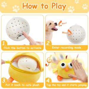 Dcoinc Interactive Dog Toys, Squeaky Dog Toys with Interactive Dog Ball, Crazy Chicken Dog Toy with Music, Washable Dog Chew Toys Pet Plush Toys for Puppy/Small/Medium/Large Dogs Chasing