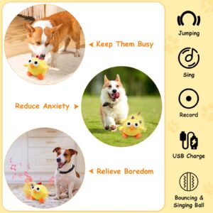 Dcoinc Interactive Dog Toys, Squeaky Dog Toys with Interactive Dog Ball, Crazy Chicken Dog Toy with Music, Washable Dog Chew Toys Pet Plush Toys for Puppy/Small/Medium/Large Dogs Chasing