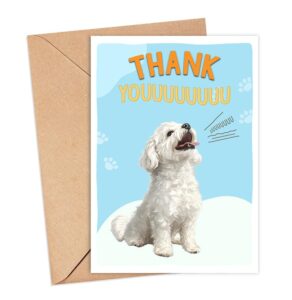 bichon frise dog card, dog thank you card, cute pun thank you card for him her, for friends, teacher, boss, coworker, dog lover gift, veterinarian thank you gift, bichon frise dog lover