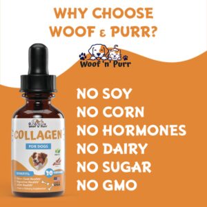 Liquid Collagen for Dogs | Collagen for Dogs | Dog Liquid Collagen | Dog Collagen | Dog Collagen Drops | Daily Collagen for Dogs | Collagen Dog | Collagen Dogs | Collagen Drops for Dogs | 1 fl oz