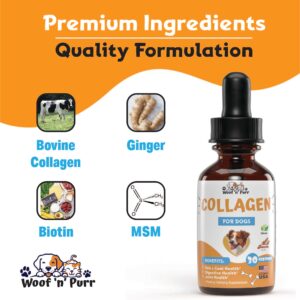 Liquid Collagen for Dogs | Collagen for Dogs | Dog Liquid Collagen | Dog Collagen | Dog Collagen Drops | Daily Collagen for Dogs | Collagen Dog | Collagen Dogs | Collagen Drops for Dogs | 1 fl oz