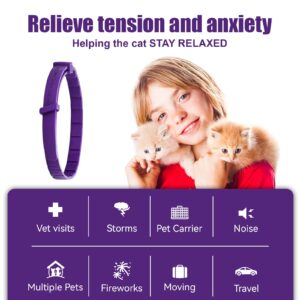 EON SNUGGLEMATES Calming Collar for Cats, Long-Lasting Pheromone Collar Helps Calm Cats for 30 Days, Reduces Stress, Helps Calm Cats from Anxiety, Loud Noises, and Separation, 1 Count (Purple)