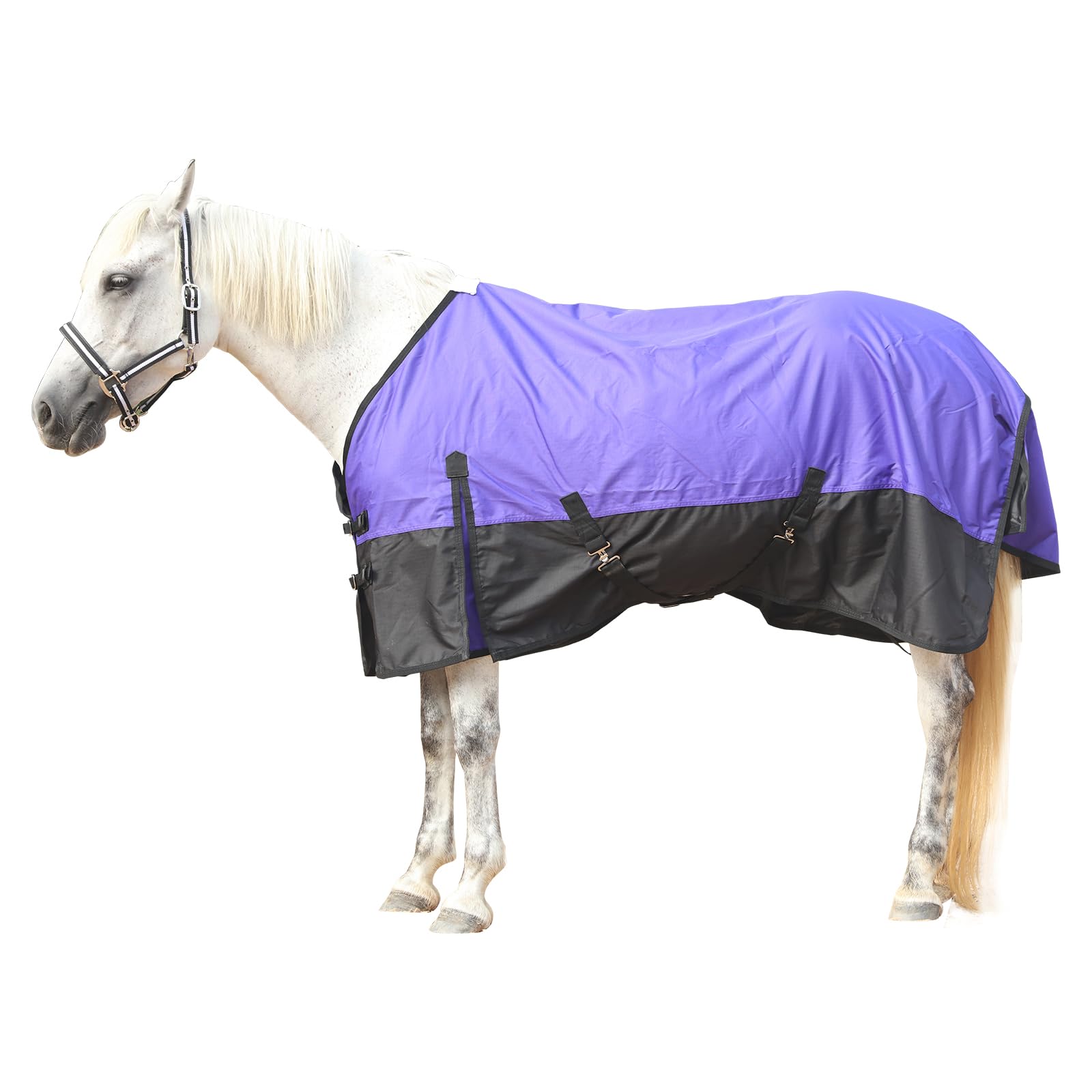 Gallopoff 600 Denier Rip-Stop Horse Rain Sheet Lightweight Waterproof and Breathable Turnout Horse Blanket (No Fill) Violet/Black 78