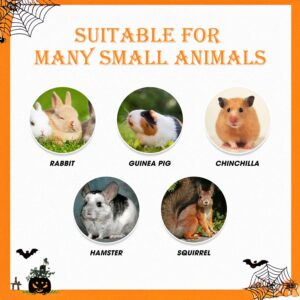 Abizoo Guinea Pig Toys Halloween, Chinchilla Toys Rabbit Toys Teeth Care Improve Pets Dental Health for Chinchillas Hamsters Rat Small Animals Playing Teeth Grinding Indoor Outdoor