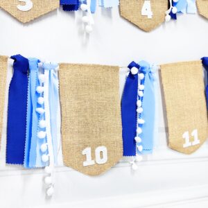 pinkblume 1st Birthday Burlap Photo Banner Garland Handmade Felt from Newborn to 12 Months with Gradient Blue Ribbon for Monthly Milestones Baby Boy First Birthday Party Decorations Supplies