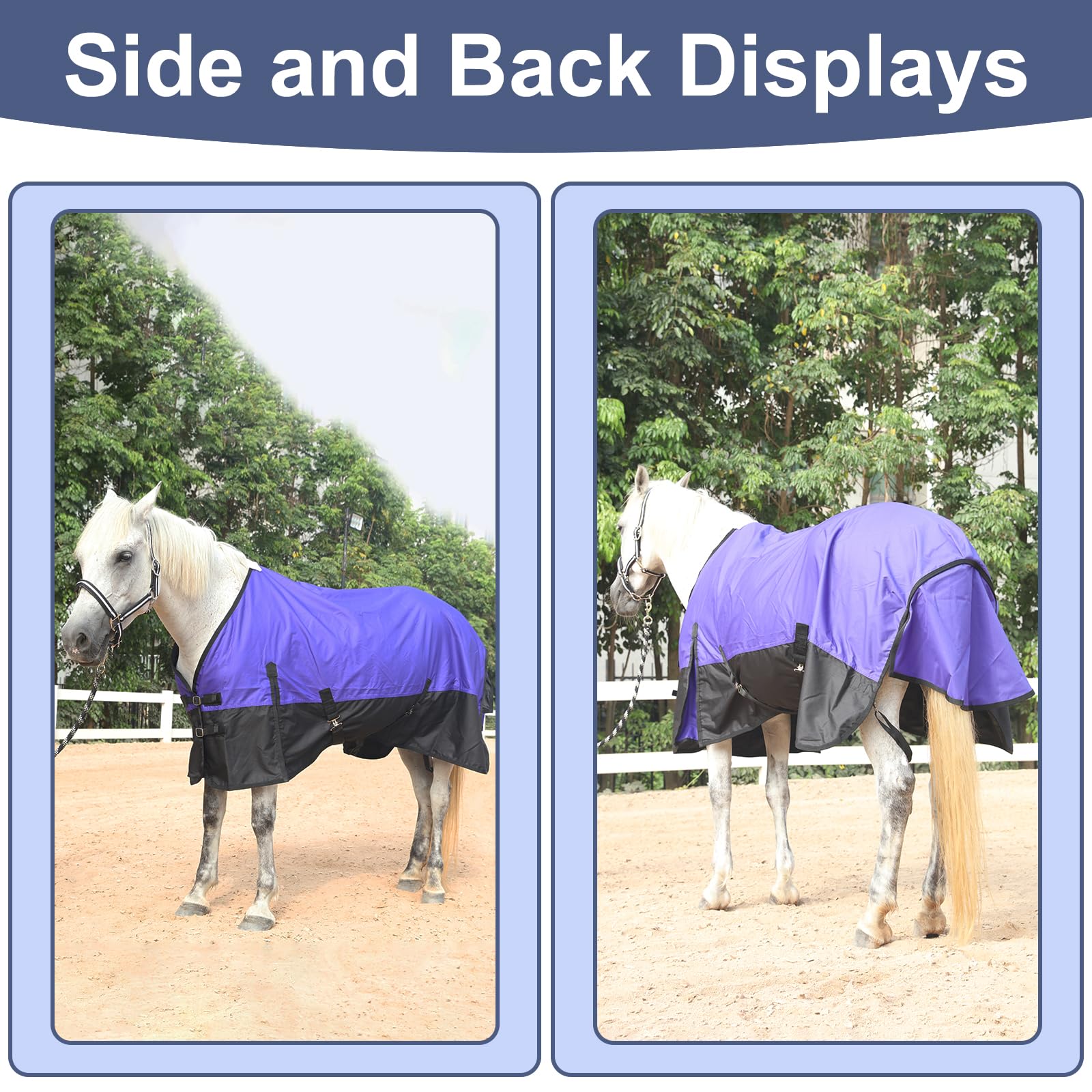 Gallopoff 600 Denier Rip-Stop Horse Rain Sheet Lightweight Waterproof and Breathable Turnout Horse Blanket (No Fill) Violet/Black 78