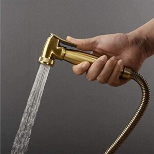 Bidet Sprayer Toilet Hand Held Bidet Sprayer Single Handle Wall Mount Bathroom Bidet Mixer Heated Bidet Faucet Chrome Fitting