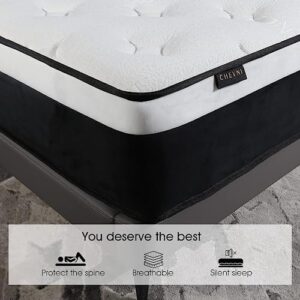 CHEVNI King Mattress,14 Inch Euro Top King Size Mattress in a Box,Memory Foam Hybrid Mattress with Individually Pocket Springs,Medium Firm,Strong Edge Support,CertiPUR-US (14 Inch, King)