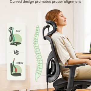 Marsail Ergonomic Mesh Office Chair: Mesh Computer Desk Chair with Adjustable Lumbar Support, 2D Headrest&2D Armrest, Ergonomic Gaming Chair for Home Office, Black