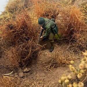 Warmtree Simulation Grass Miniature Static Grass Model Grass Diorama Supplies Artificial Grass for Diorama Materials Train Landscape Railroad Scenery Sand Military Layout Model