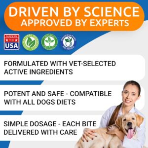 Salmon Oil + Allergy Relief Bundle - Skin & Coat Support + Anti-Itch Skin - Omega 3 Fish Oil + EPA & DHA Fatty Acids - Immune & Heart Health + Itching & Paw Licking - 32 oz + 180 Chews - Made in USA