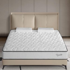 Cejato Queen Mattresses,12 Inch Queen Size Mattress in a Box,Memory Foam Hybrid White Mattress with Provide Support and Improve Sleep Mattresses,Medium Firm,CertiPUR-US.