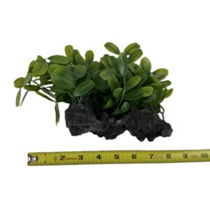 Gingerbread Pet Supply Plastic Anubias Aquatic Plant with Large Weighted Rock