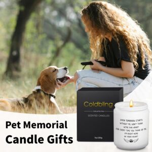 Dog Memorial Gifts for Loss of Dog Cat Pet Grieving Passed Away Gift, Vanilla Scented Pet Memorial Candle Gifts, Pet Loss Sympathy Gift, Pet Dog Remembrance Bereavement Condolence Gift Cat Dog Lover