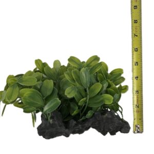 Gingerbread Pet Supply Plastic Anubias Aquatic Plant with Large Weighted Rock