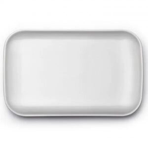 buydeem ct1004 ceramic plate 11 inch, suitable for g553 g563 food steamer, white