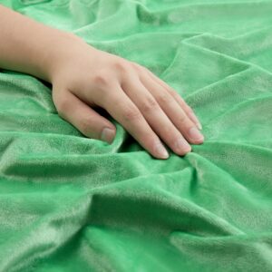 2 Yards Green Minky Fabric 72” X 65" inches Wide Minky Cloth, Soft Plush and Skin Friendly Thickened Sheer Fabric by The Yard for Baby Blanket,Throws,Pillow Cover,Scarf,Cuddly Toys,Baby Accessories