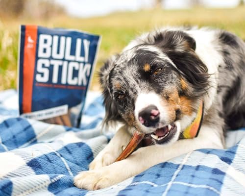 Wild Wolf 12-inch Angus Bully Sticks (8 Ounces) Healthy, All-Natural, Long-Lasting Dog Chew Bones - Natural Scent Dogs Love - Mixed Thickness